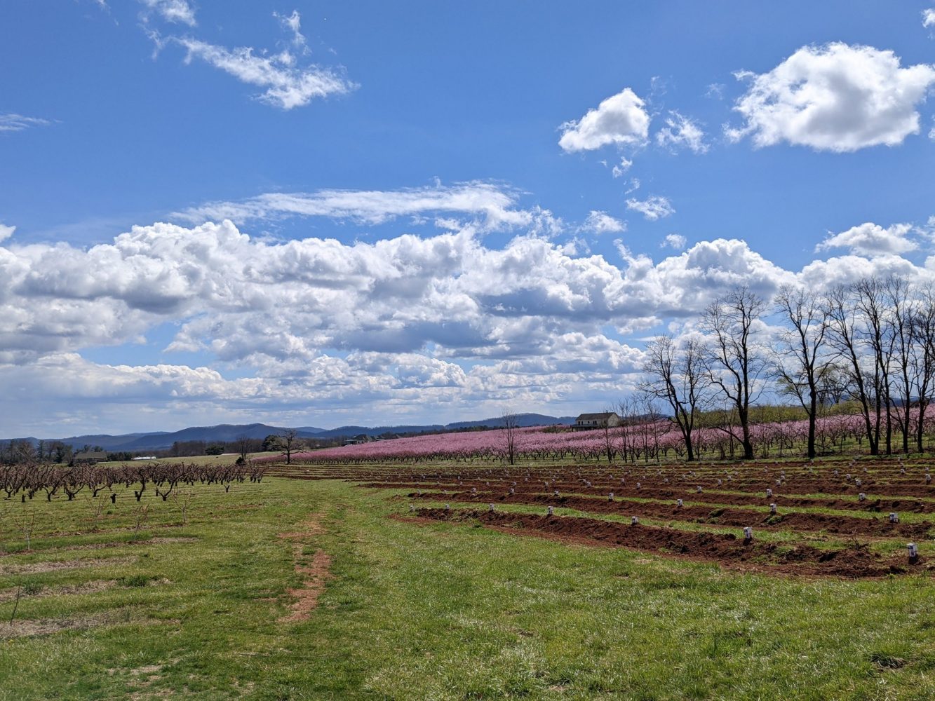 Afton – Batesville – Charlottesville Bicycle Club
